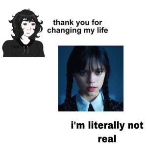 15 Wednesday Addams Memes That Prove You Are Just Like Her